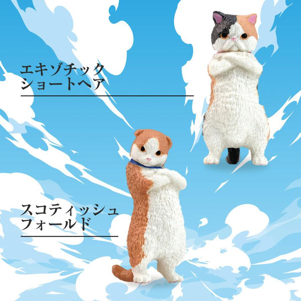 Zun!! Attitude Cat - Ace Cards & Collectibles